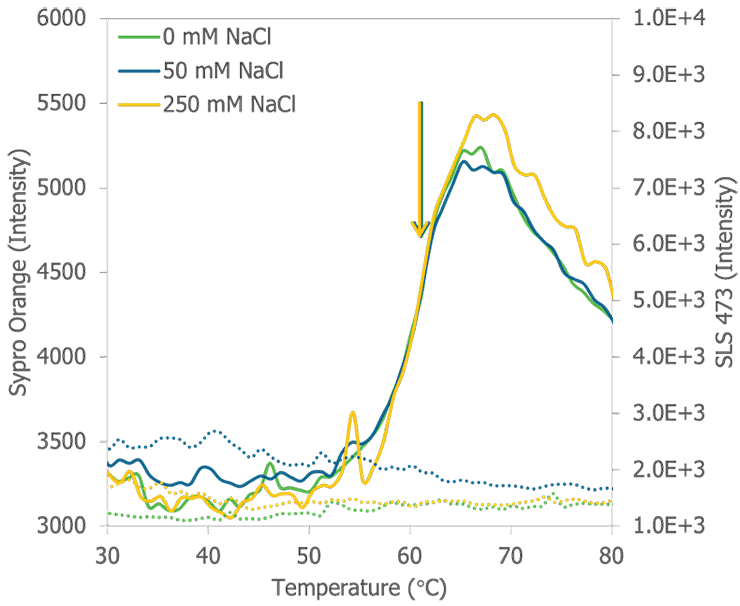 Protein Stability Assays Made Easy With Uncle | Unchained Labs